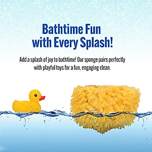 Baby Buddy Natural Wool Sea Sponge, Newborn Bath Time Essential, Ultra Soft for Delicate Skin, Hypoallergenic and Biodegradable, 1 Pack