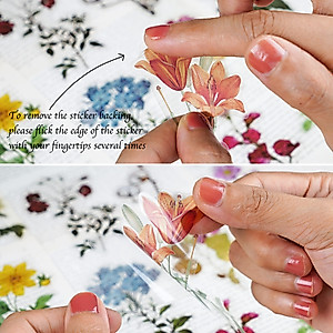 Knaid Flower Eucalyptus Plant Stickers Set (160 Pieces) - PET Transparent Waterproof Decorative Decals for Scrapbook DIY Crafts Album Bullet Journal Planner Water Bottles Phone Cases Laptops