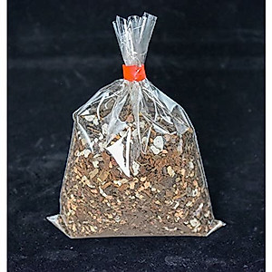 1 Pcs 6.25" Oval Green Stain Bonsai / Succulent Pot + Soil + Tray + Rock + Mesh Kit