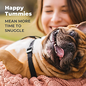 Glandex by Vetnique Daily Probiotics for Dogs with Prebiotics for Optimal Gut Health & Immune Support with Digestive Enzyme & Fiber All Natural Bacon Flavor Soft Chews (60ct Soft Chews)