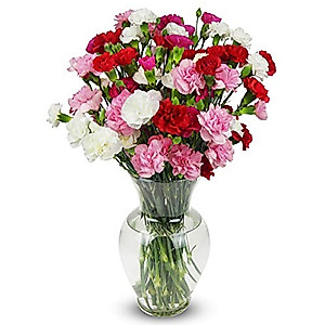 Benchmark Bouquets 20 stem Rainbow Mini Carnations, With Vase (Fresh Cut Flowers)