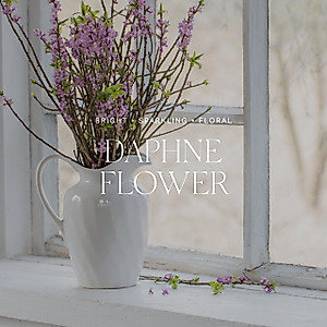 Antica Farmacista Room Spray, Daphne Flower 3.4 Fl Oz