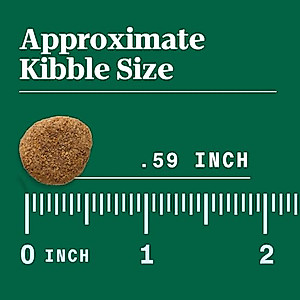 Nutro Limited Ingredient Diet Large Breed Adult Dry Dog Food, Lamb & Sweet Potato Recipe, 22 lbs.