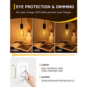 UNILAMP Dimmable LED Edison Bulb, ST64 E26 Base Lighting Vintage LED Bulbs, 6W Vintage LED Light Bulb(60W Equivalent), 600lm, 2200K Amber Warm, High Brightness Amber Glass (2 Packs)