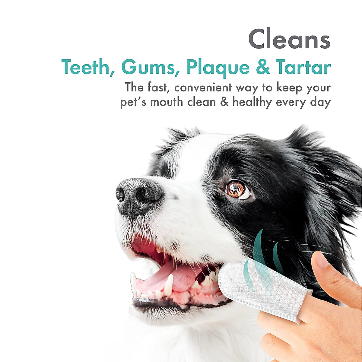 Petkin Fingertip Tooth Wipes for Dogs and Cats, 50 Finger Wipes - Slip-On, Snug Fit, Micro-Bristle Fabric - Cleans Teeth, Gums, Plaque & Tartar - Convenient, Ideal for Home and Travel - Fresh Mint