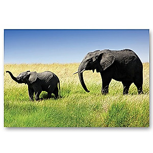 BABY ANIMALS postcard set of 20 postcards. Animal babies post card variety pack. Made in USA.