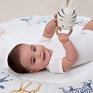 aden + anais Play and Discover Baby Activity Gym – 30+ Developmental Benefits - 3 Attachable Toys + Plush Tummy Time Pillow – 100% Cotton Muslin – Machine Washable