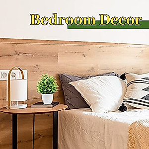 Der Rose 4 Packs Fake Plants Small Artificial Faux Potted Plants for Living Room Home Office Farmhouse Bathroom Kitchen Decor Indoor