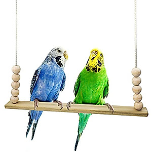 Chicken Swing Coop Toy Made in USA! Natural Wood Safe Durable Flat Bar Perch Ladder for Poultry Run Rooster Hens Chicks Pet Parrots Macaw Entertainment Stress Relief for Birds