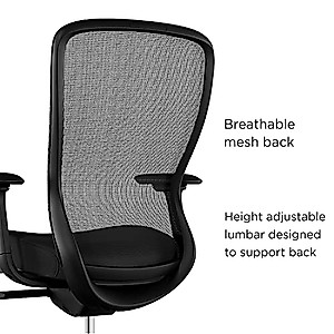 Staples Workplace2.0 Ayalon Mesh Back Fabric Task Chair, Black, 2/Pack (Un51505-Ccvs)