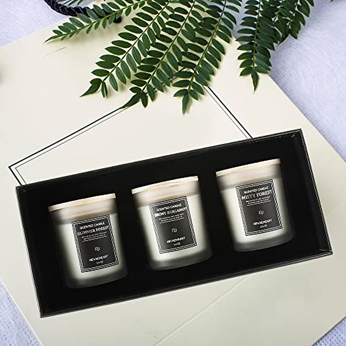 NEVAEHEART Candles for Home Scented, 3.5OZ x 3 Packs Scented Candle Set, Misty Forest | Glimmer Forest | Ebony Bergamot, Candle Gift Set for Women, Natural Soy Wax, Home Fragrance with Gift Box