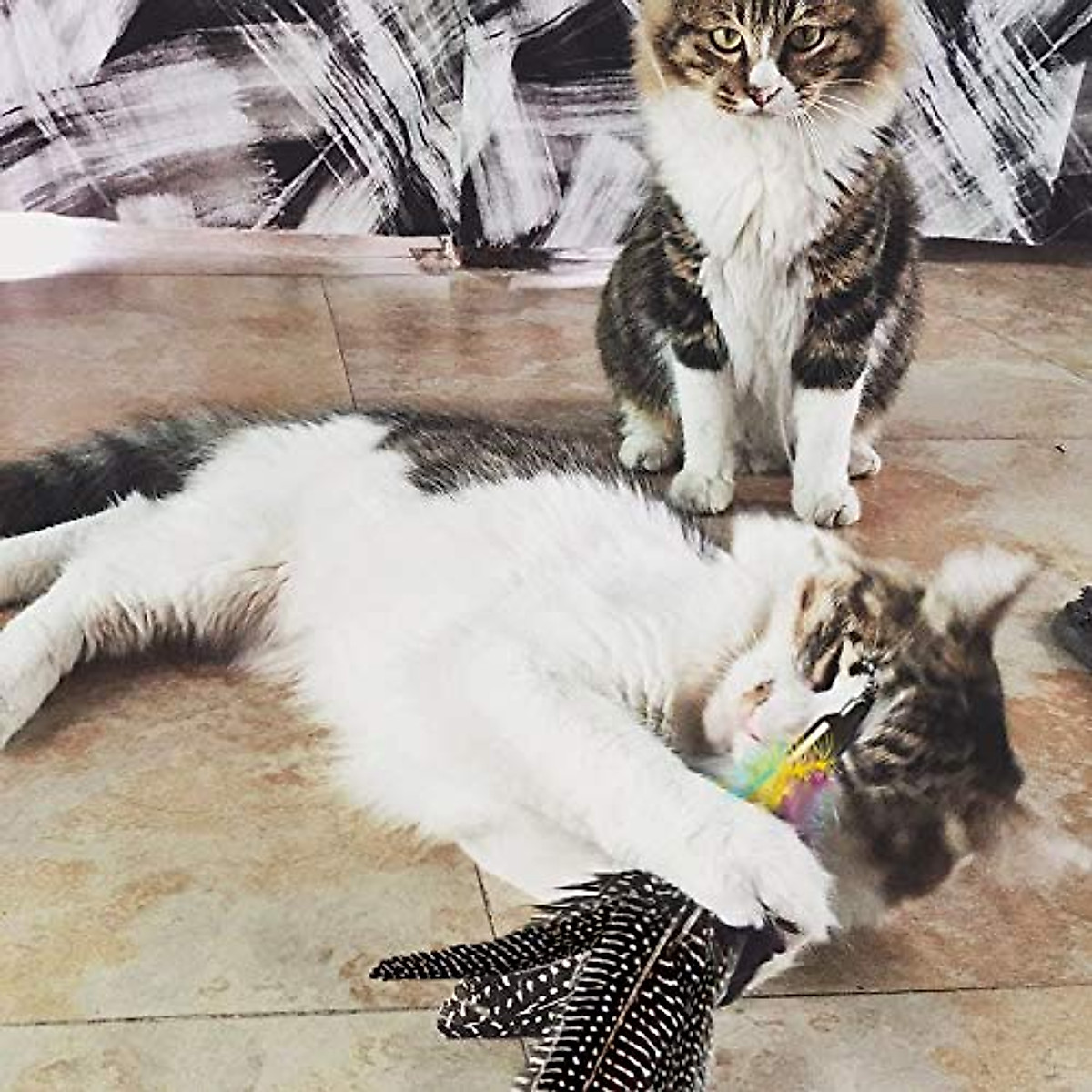 Highland Farms Select Handmade Natural Feather Cat Toy Dah Bird Refills - Interactive Cat and Kitten Toy - 6 Pack