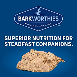 Barkworthies Lamb Lung Chip Chews (12oz. Bag) - All-Natural & Highly Digestible Dog Treats - Promotes Dental Health