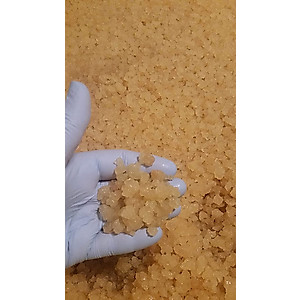 SIX Brewing Bags Plus TWO Large Portion Cup with 33% MORE EACH Live Florida Sun Kefir Natural Water Kefir Grains