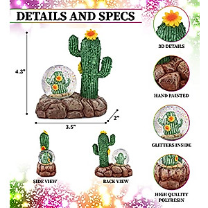 CoTa Global Cactus Snow Globe - Magical Rainbow Water Globe Figurine with Sparkling Glitter, Collectible Novelty Ornament for Home Decor, for Birthdays, Christmas, and Valentine - 45mm