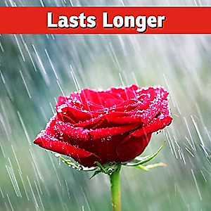 I Must Garden Deer, Rabbit and Groundhog Repellent: All-Weather Granular Formula – 5 lb. Bag