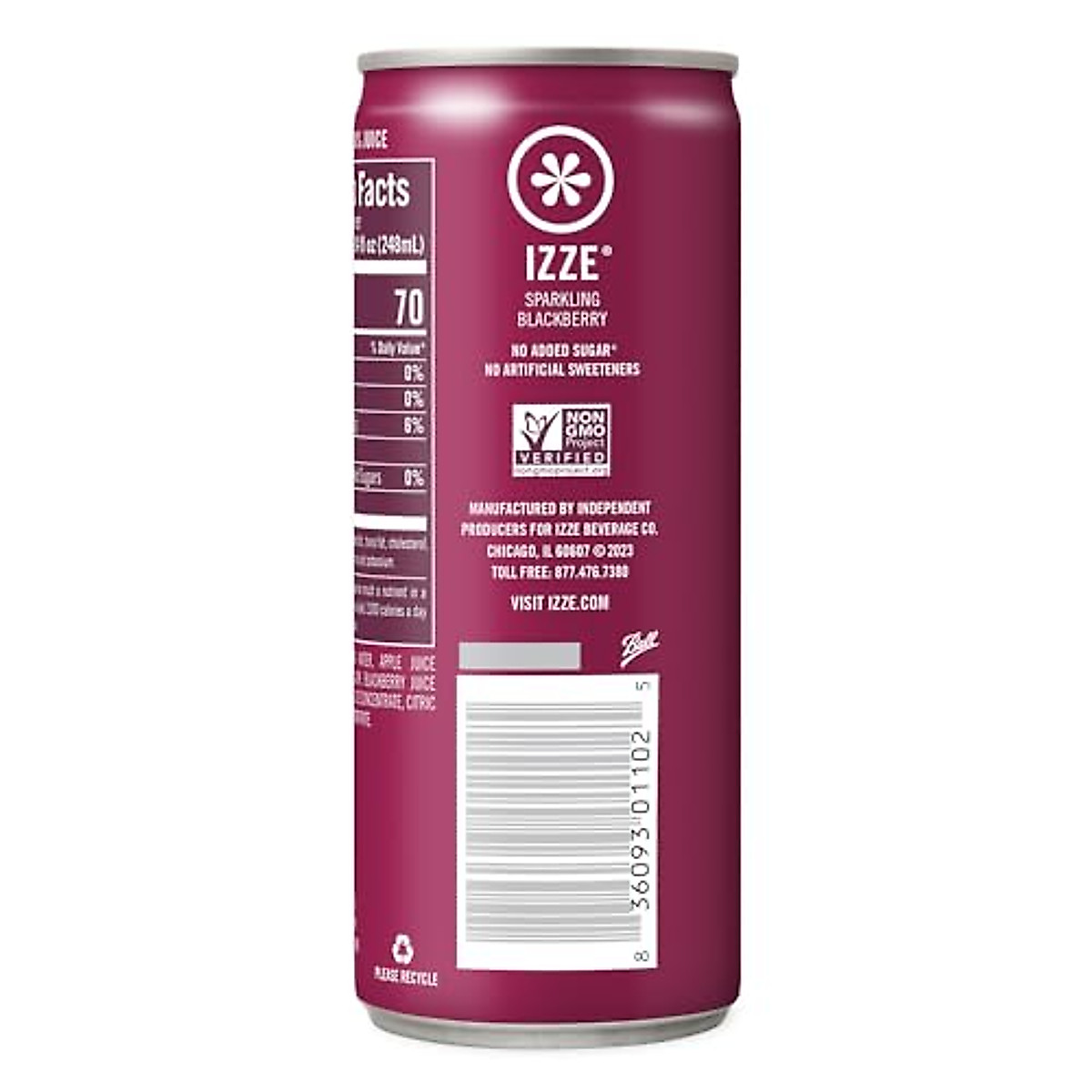 IZZE Blackberry Juice, No Sugar Added, 8.4 oz., 24/Carton