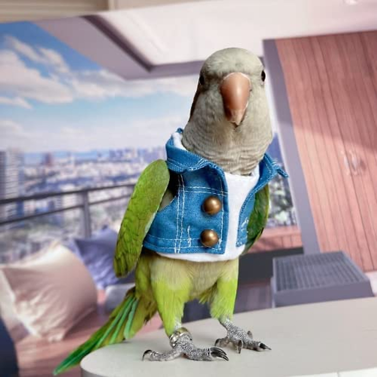 Bird Costume Bird Diaper Flight Suit Bird Jeans Fake Two Pieces Bird Clothes Cosplay Photo Prop for Parrots Lovebird Parakeet Cockatiel Small Animals Apparel (Without Diaper,Cockatiel)