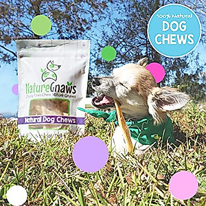 Nature Gnaws Variety Pack of Dog Chews and Bully Sticks - Long Lasting Gnaw Treats Bag for Puppies and Active Dogs - Natural and Rawhide Free Bones
