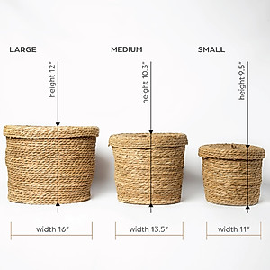Handcrafted Seagrass basket with lid. Decorative Baskets for storage. Natural rope basket with lid. Woven Seagrass baskets for blankets. Round decorative basket. (Medium)