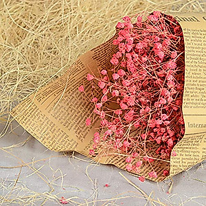 Nesting Material Raffia Grass Canary Finch Box Fillers Safe Decoration Small Bird Pet House Multipurpose Soft Reusable sy Apply Gift Packing Practical(AS Photo)