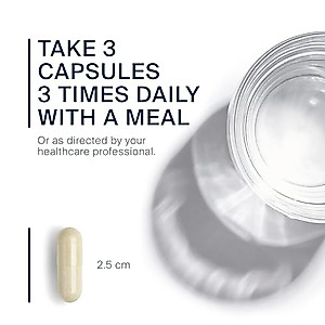 Vital Nutrients GI Repair Nutrients | Leaky Gut Capsule with L Glutamine and N-Acetyl | Digestive Enzyme Supplement to Support Gut Health and Digestion | Gluten and Dairy Free | 120 Capsules