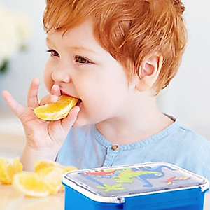 Stephen Joseph Bento Box, Kids Adjustable Compartment Bento Box, Kids Bento Box