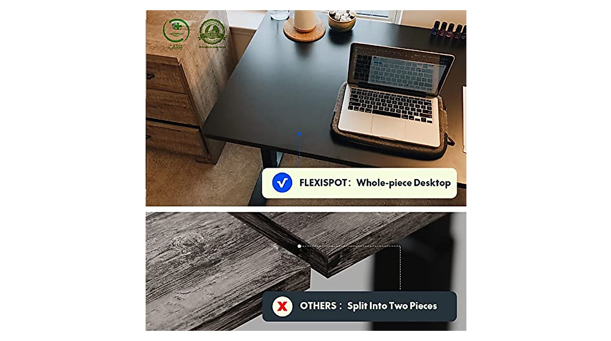 FLEXISPOT EC1 55" Electric Standing Desk for Home Office
