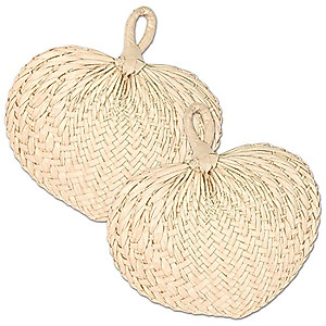 Natural Raffia Tropical Hand Fans