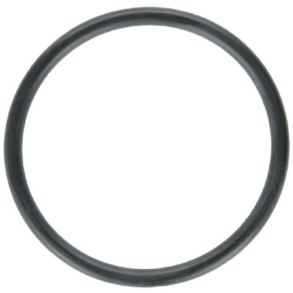 Aladdin O-287-9 O-Ring Replacement for select Pool and Spa Filters, Model: O-287-9, Home & Garden Store