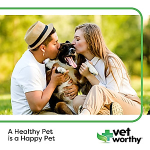 Vet Worthy Sparkling Breath for Dogs (16 oz)