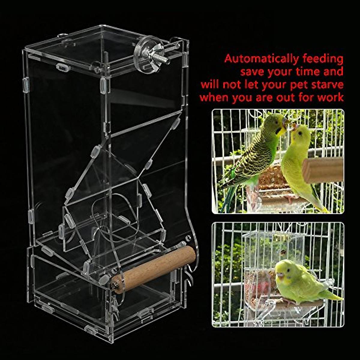 Bird Automatic Food Feeder, 1Pc Acrylic Transparent Parrot Integrated Automatic Feeder Automatic Bird Seed Feeder for Small to Medium Birds(M Single Type)