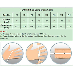 TEAMER Witches Knot Ring Stainless Steel Witchcraft Celtic Amulet Ring Geometric Celtic Knot Ring Vintage Jewelry For Women (8, Style 2 -Silver)