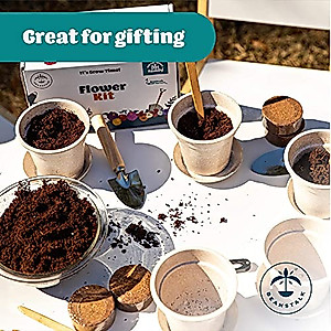 Flower Growing Kit by Beanstalk - 5 Types of Non-GMO Flower Seeds, Bachelor Button, Zinnia, Marigold, Virginia Stock, Baby's Breath - Best Birthday Garden Plant Gifts for Girls, Kids Age 5 6 7 8 9 10