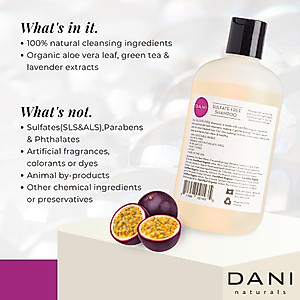 DANI Natural Moisturizing Shampoo Naturals - Juicy Passion Fruit Scent - Organic Aloe Vera & Coconut Cleansers - Sulfate, Phthalate & Paraben Free - Vegan & Cruelty Free - 12 Ounces