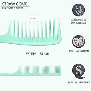 BEROYAL Styling Hair Comb Set - Wet Hair Brush Detangling Brush, Wide Tooth Comb, Tail Comb - Multifunctional package,Great for Thick Wet Hair of Women and Kids with No Pain(Tiffany Blue - Aqua Blue)