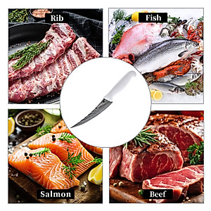 Boning Knife, Little Cook 6-inch Fillet knife, Stainless Steel Blade deboning Knife, Great for Meat Cutting, Fish, Poultry, Chicken (Dishwasher Safe, White)