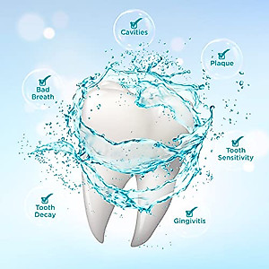 Perio Maintenance Alcohol Free Mouthwash – Concentrated Mouthwash for Bad Breath, Plaque, Sensitive Teeth, and Gingivitis or Gum Disease - Fresh Mint Flavored Fluoride Rinse by Everest Oral Care