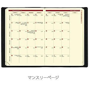 Quo Vadis QV28502ap Diary (Business Prestige/Club) (Weekly Vertical, Begins December 2023, A6 Transformation, 3.9 x 5.9 inches (10 x 15 cm)), Apricot (2024 Edition)