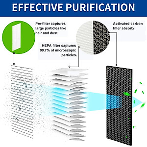 Can-Meageren Replacement H13 HEPA Filter Compatible with RENPHO HIMOX M11 Air Purifier 2-pack