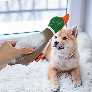 Ipetboom Dog Molar Plaything Squeaky Teething Toy Shaped Chewing Toy Funny Toy