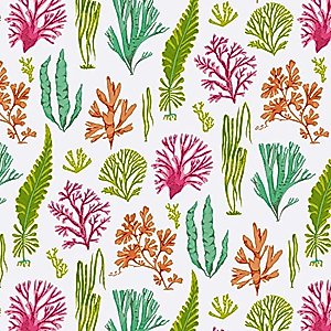 Stitch & Sparkle 100% Cotton Duck 45" Width Mod Shell Print Hot Pink Color Sewing Fabric by The Yard D018G1204