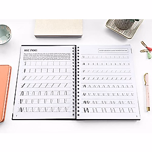 The Ultimate Guide to Modern Calligraphy & Hand Lettering for Beginners