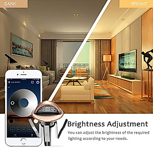 FVTLED WiFi Deck Lights, WiFi Controlled 10pcs Low Voltage LED Deck Lights Kit Φ1.38 Outdoor Recessed Step Stair Warm White LED Lighting Work with Alexa Google Home, Red Bronze