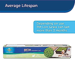PetSafe Replacement Grass for Large Pet Loo Portable Indoor Dog Potty Training System - Artificial Grass for Dogs, Speedy Drainage, Easy to Clean - Great Alternative to Puppy Pads or Dog Pee Pads,Green