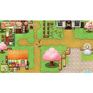 Harvest Moon: Light of Hope Complete Special Edition (PS4)