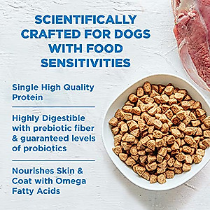 Wellness Simple Natural Grain Free Limited Ingredient Dry Dog Food, Salmon and Potato Recipe, 24-Pound Bag