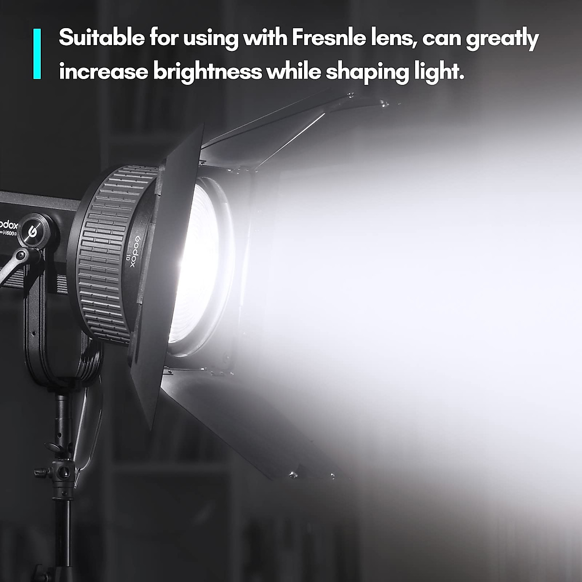 GODOX LB-02 8 Inch LED Video Light Modifier Barn Door with Bowens Mount for Video Photography Portrait