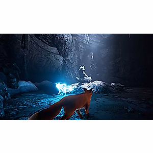 Spirit of The North (PS4)