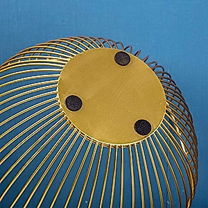 Fanduo Metal Wire Fruit Basket - Decorative Metal Frame Fruit Bowl for Living Room, Kitchen, Countertop Gold,Height 5.5 Inch